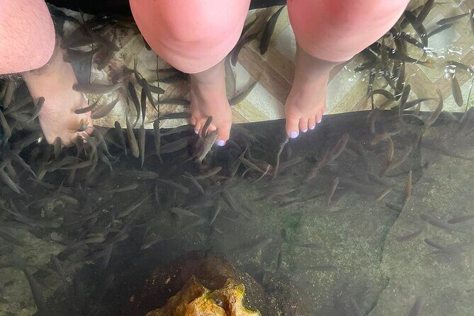 Cat Ba: Modern & Luxury 5* Serenity Cruise Discover Lan Ha Bay - In The Sum Up: Who Is This Tour Best For?