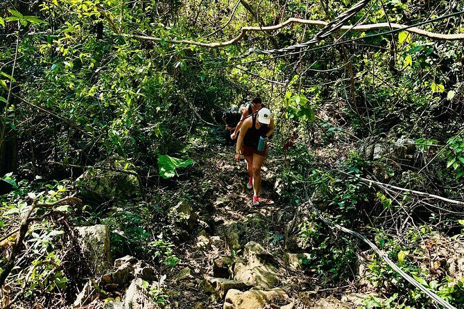 Cat Ba National Park Full Day Trekking, Biking from Cat Ba Island - A Practical Look at What the Tour Offers