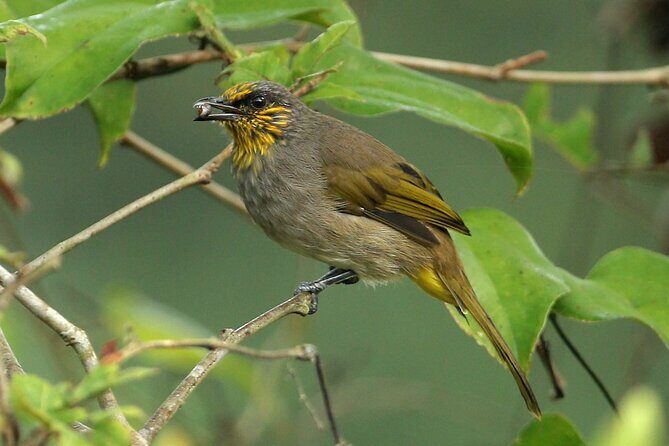 Cat Ba National Park Full Day Trekking, Biking from Cat Ba Island - Who Will Love This Tour?