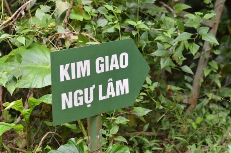 Cat Ba National Park: Secret Jungle Trek & Hidden Caves - Practical Aspects of the Tour