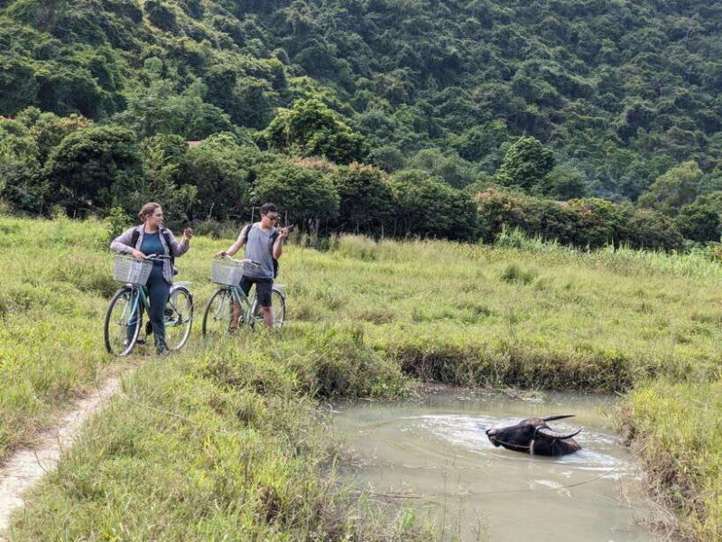 Cat Ba National Park Trekking & Ancient Village Biking - The Magnificent Frog Pond