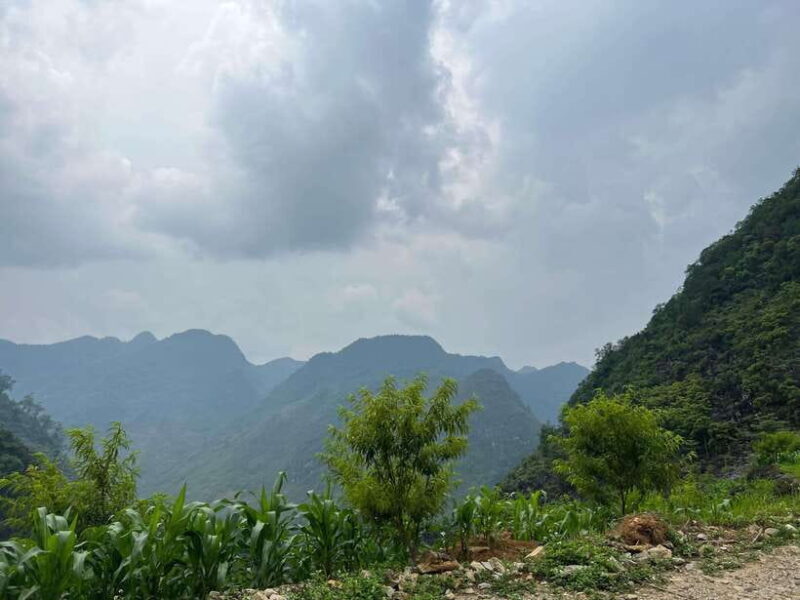 Cat Ba National Park, Viet Hai, Lan Ha Bay Full Day Eco Tour - Final Thoughts