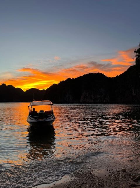 Cat Ba: Sunset and Plankton Bioluminescent Night Kayak - Who Will Love This Tour
