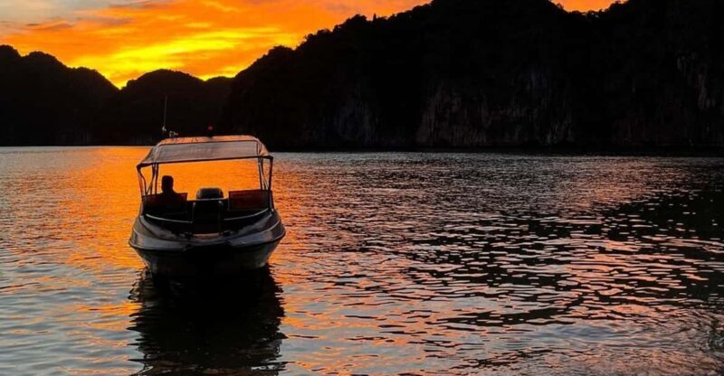 Cat Ba: Sunset and Plankton Bioluminescent Night Kayak - Detailed Tour Breakdown