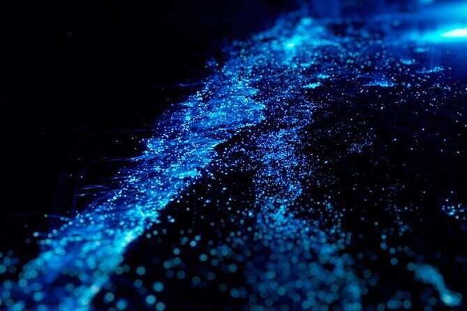 Cat Ba: Sunset & Bioluminescent Kayaking on Lan Ha Bay - Why This Tour Offers Excellent Value