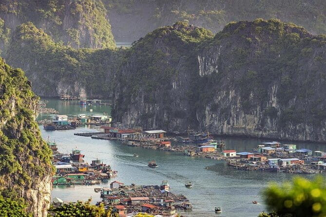 Cat Ba: Sunset & Bioluminescent Kayaking on Lan Ha Bay - FAQ