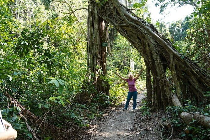 Cat Ba Trekking & Kayaking 3 days 2 nights - Transportation and Group Dynamics