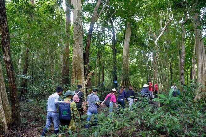 Cat Tien Day Trip from HCMC: Jungle Trek & Wildlife Safari - A Closer Look at the Itinerary and What to Expect
