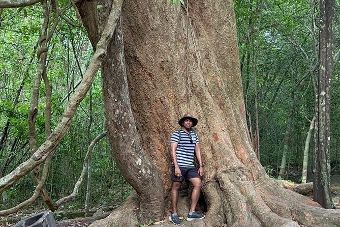 Cat Tien National Park 2-Day Tour: Biking, Trekking, Safari Night - An in-depth Look at the 2-Day Cat Tien National Park Tour