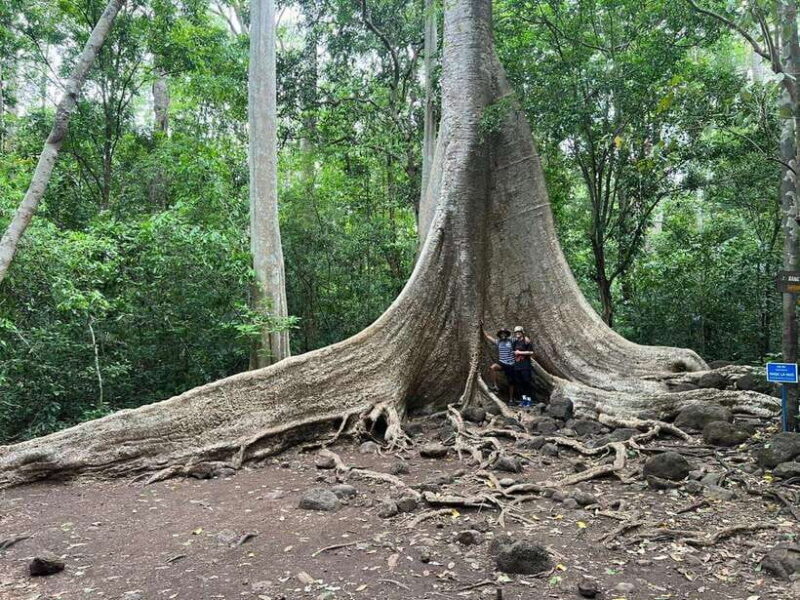 Cat Tien National Park Cycling Tour With Tri An Lake Camping - Introduction: A Unique Blend of Nature, Culture, and Adventure