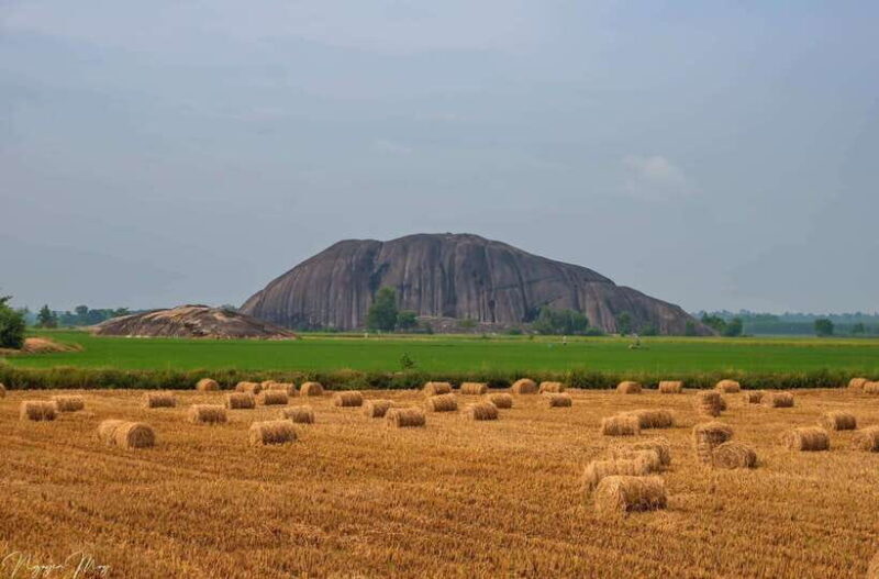 Cat Tien National Park Cycling Tour With Tri An Lake Camping - The Experience Provider & How to Book