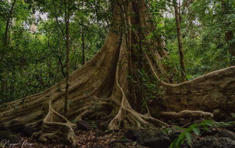Cat Tien National Park Cycling Tour With Tri An Lake Camping - How Does It Feel in Practice? The Authenticity and Adventure