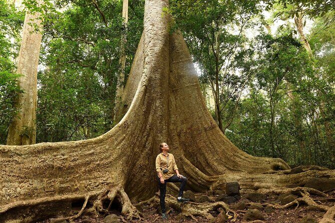 Cat Tien National Park Day Trip with Trekking and Cycling - Pricing and Value Analysis
