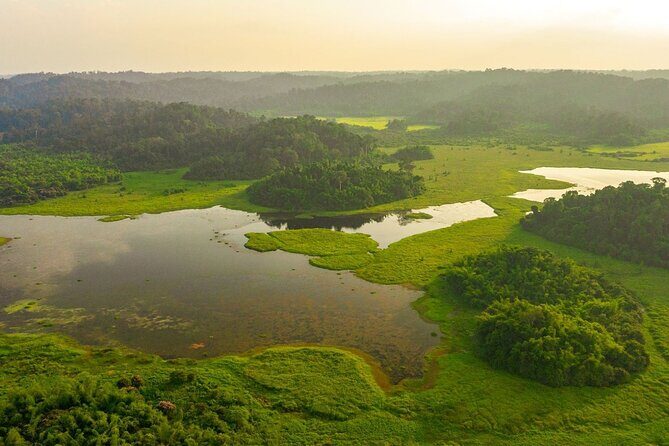 Cat Tien National Park Day Trip with Trekking and Cycling - Who Should Consider This Tour?