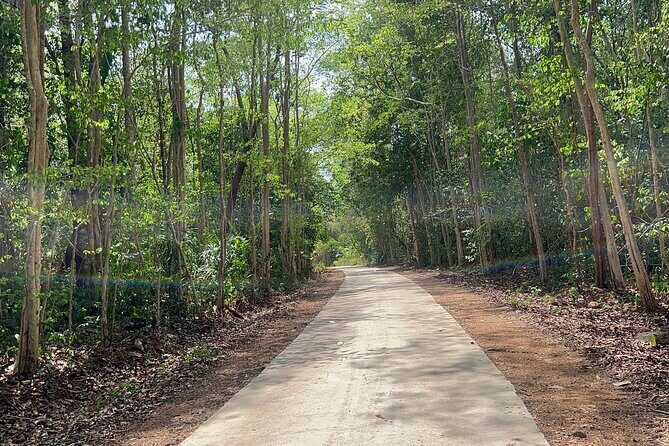 Cat Tien National Park Tour: Biking, Walking, Wildlife Safari - Who Will Love This Tour?