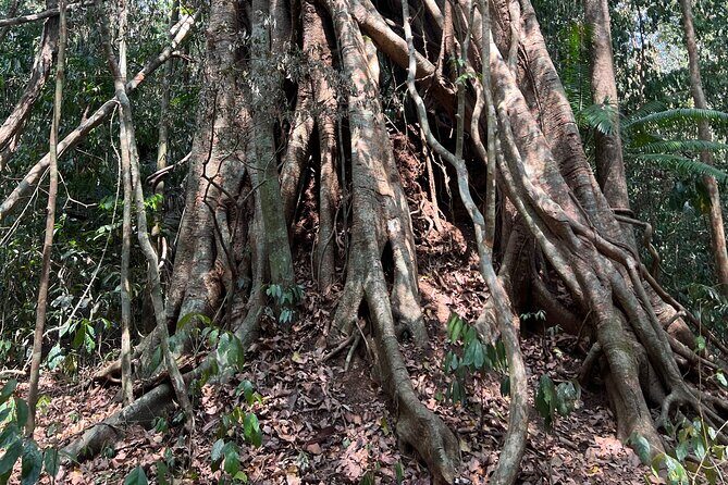 Cat Tien National Park Tour: Biking, Walking, Wildlife Safari - FAQ