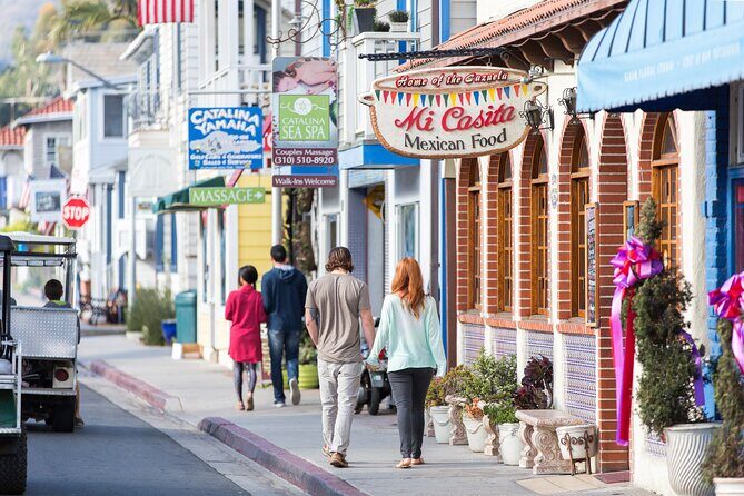Catalina Express: Avalon to San Pedro One-Way Ferry - Who Will Love This Trip?
