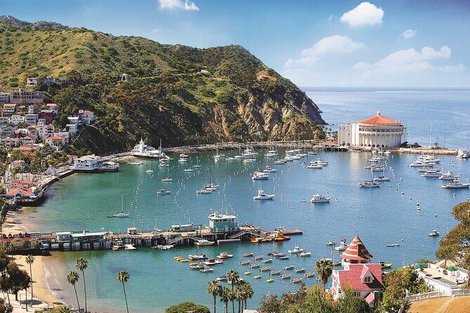 Catalina Express: Avalon to San Pedro One-Way Ferry - FAQ