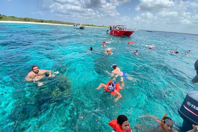 Catalina Island and Snorkeling - Full-day Trip - Key Points