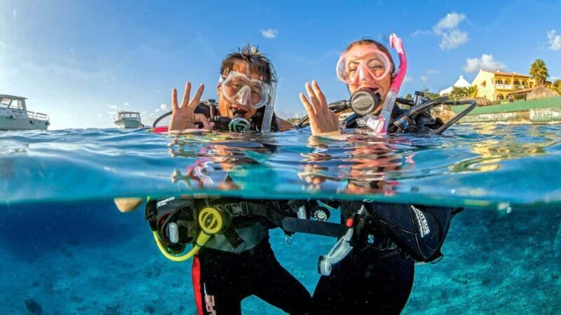 Catalina Island and Snorkeling Tour - Getting There: Comfortable Transfers from Punta Cana and Bayahibe