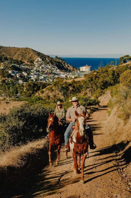 Catalina Island: Bluff View Horseback Ride - Who Will Love This Experience?