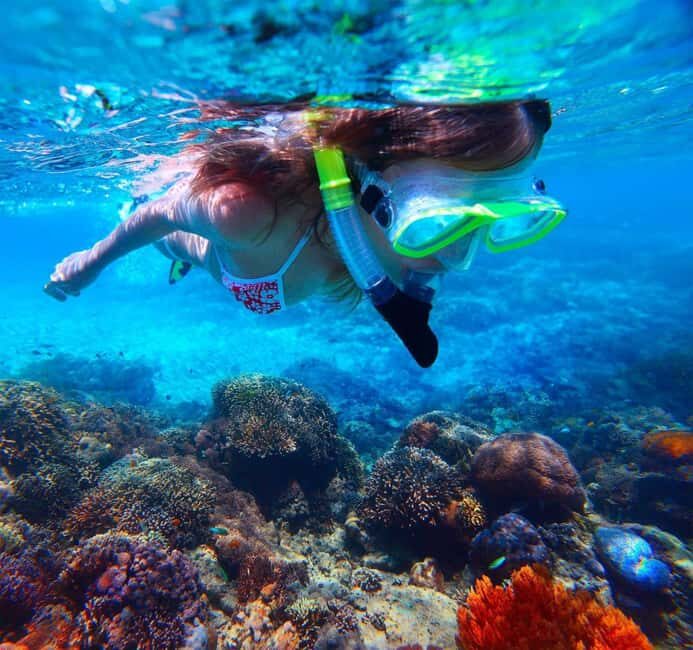 Catalina Island Catamaran Cruise with Lunch from Bayahibe - Starting Point: Bayahibe Marina