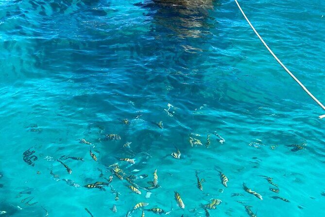 Catalina Island Catamaran Tour from Punta Cana - Final Thoughts