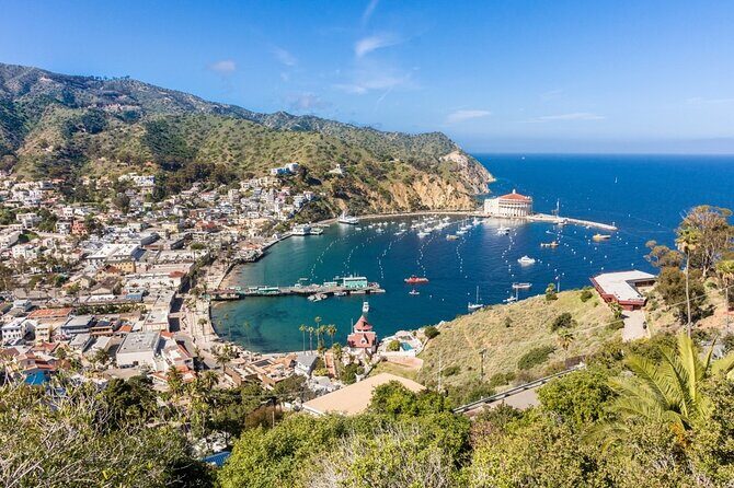 Catalina Island City and Scenic Mount Ada Tour - Practical Details and Tips