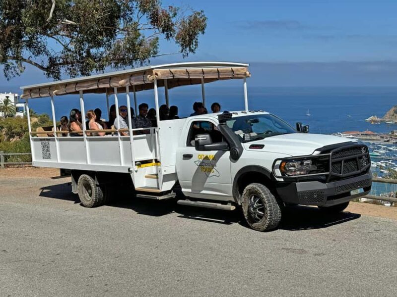 Catalina Island City & Scenic Mt. Ada Tour - The Itinerary and What Youll See