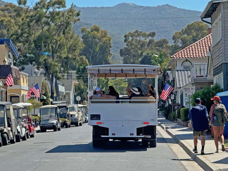 Catalina Island City & Scenic Mt. Ada Tour - The Guide and Experience