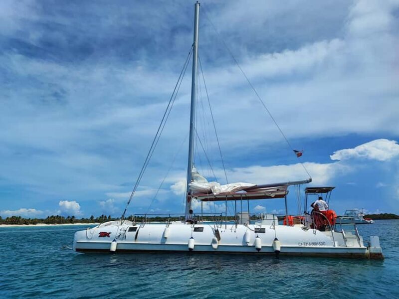 Catalina Island Comfort: Snorkeling & Catamaran Experience - Key Points