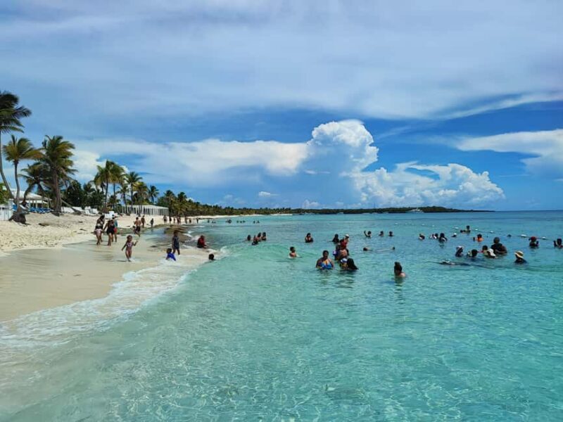 Catalina Island Comfort: Snorkeling & Catamaran Experience - Transport, Timing, and Value