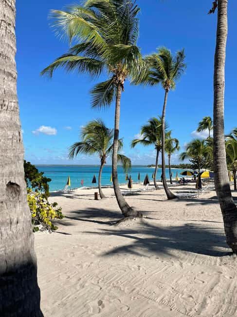 Catalina Island: Cruise, Snorkelling, Open Buffet & Drinks - Getting There: Convenient Transport and Timing