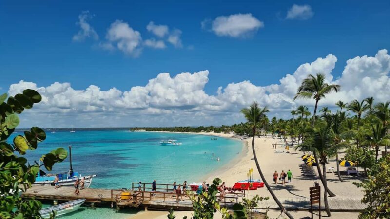 Catalina Island: Cruise, Snorkelling, Open Buffet & Drinks - Afternoon Options and Return Trip