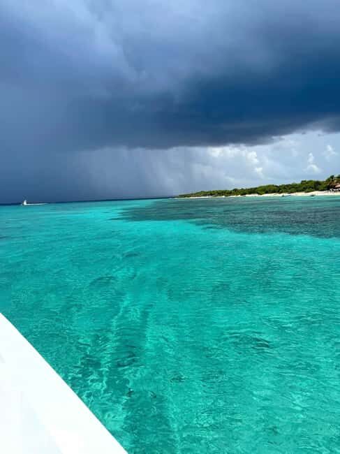 Catalina Island: Cruise, Snorkelling, Open Buffet & Drinks - Authenticity and Reviews