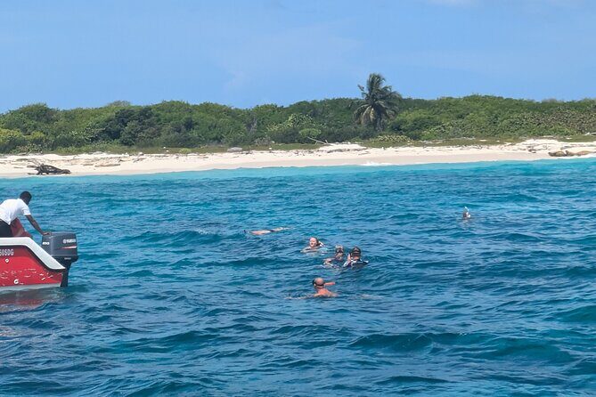 Catalina Island Day Tour  Explore the Jewel of the Caribbean - A Closer Look at the Catalina Island Day Tour