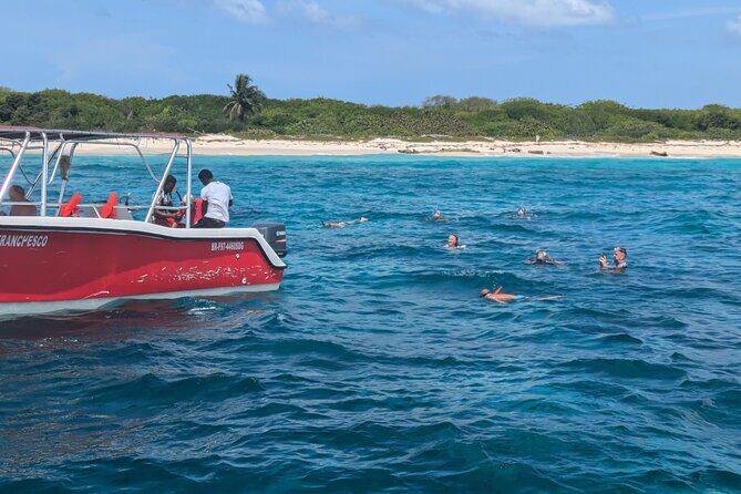 Catalina Island Day Tour  Explore the Jewel of the Caribbean - The Sum Up: Is It Worth It?