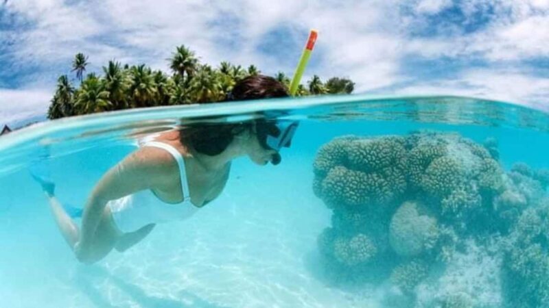 Catalina Island: Day Trip - Best Snorkeling! - An Honest Look at the Catalina Island Day Trip