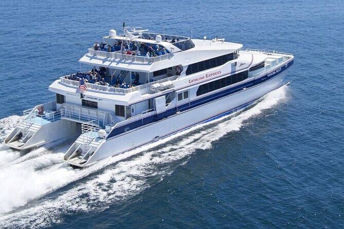 Catalina Island Day Trip from Anaheim Hotels with Discover Avalon Tour - What We Love and What to Watch For