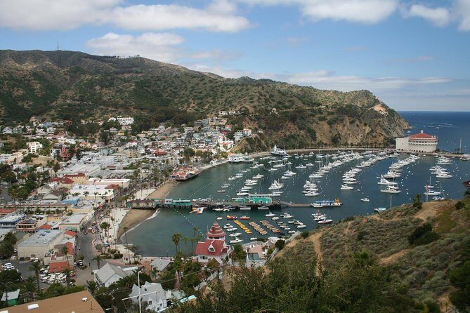 Catalina Island Day Trip from Anaheim Hotels with Discover Avalon Tour - The Sum Up