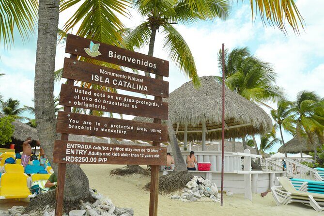 Catalina Island DayTrip + Great Snorkeling - Introduction: A Relaxing Escape with Snorkeling and Scenery