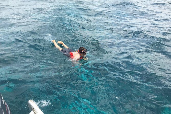 Catalina Island DayTrip + Great Snorkeling - Practical Details and What They Mean for You