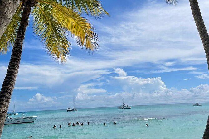 Catalina Island/DIVING and Sailboat Adventure / V.I.P SERVICES - What the Reviews Say