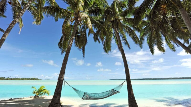 Catalina Island, even more pristine than Saona - Key Points