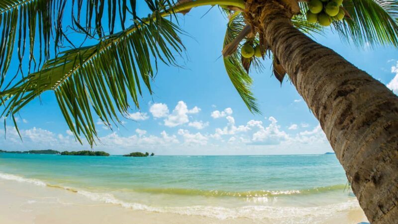 Catalina Island, even more pristine than Saona - Practical Tips for Your Trip