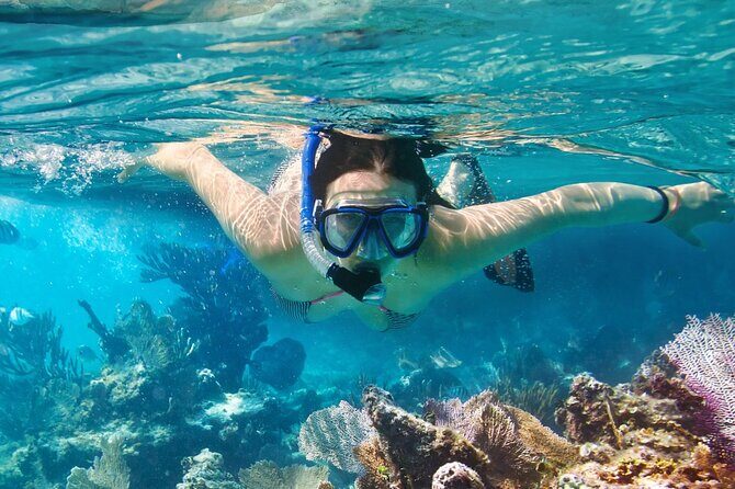 Catalina Island even more unspoilt than Saona Island - Final Thoughts on the Catalina Island Tour