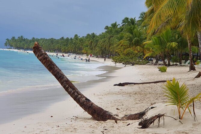 Catalina Island Full Day From Punta Cana - What to Expect on the Catalina Island Full Day Tour