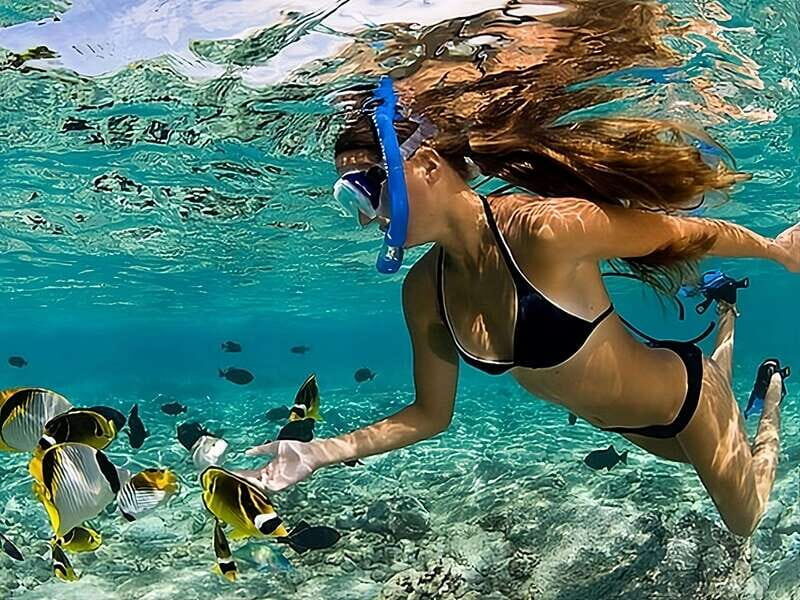 Catalina Island Full-Day Snorkeling + Lunch from Punta Cana - Who Will Love This Tour?