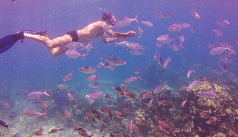 Catalina Island Full-Day Snorkeling Tour expedition - The Sum Up