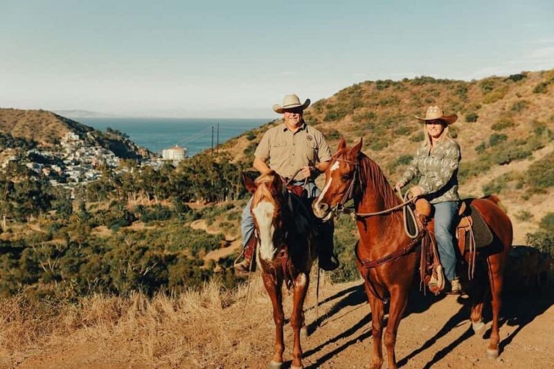 Catalina Island: Horse Trail Overlook Ride - Key Points